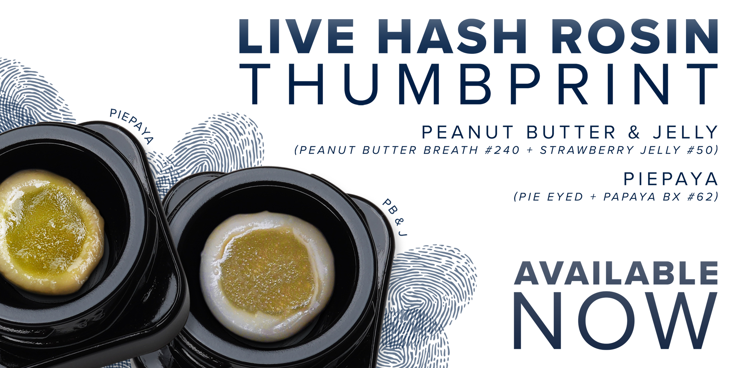 LIVE HASH ROSIN THUMBPRINT | NJ Craft Cannabis