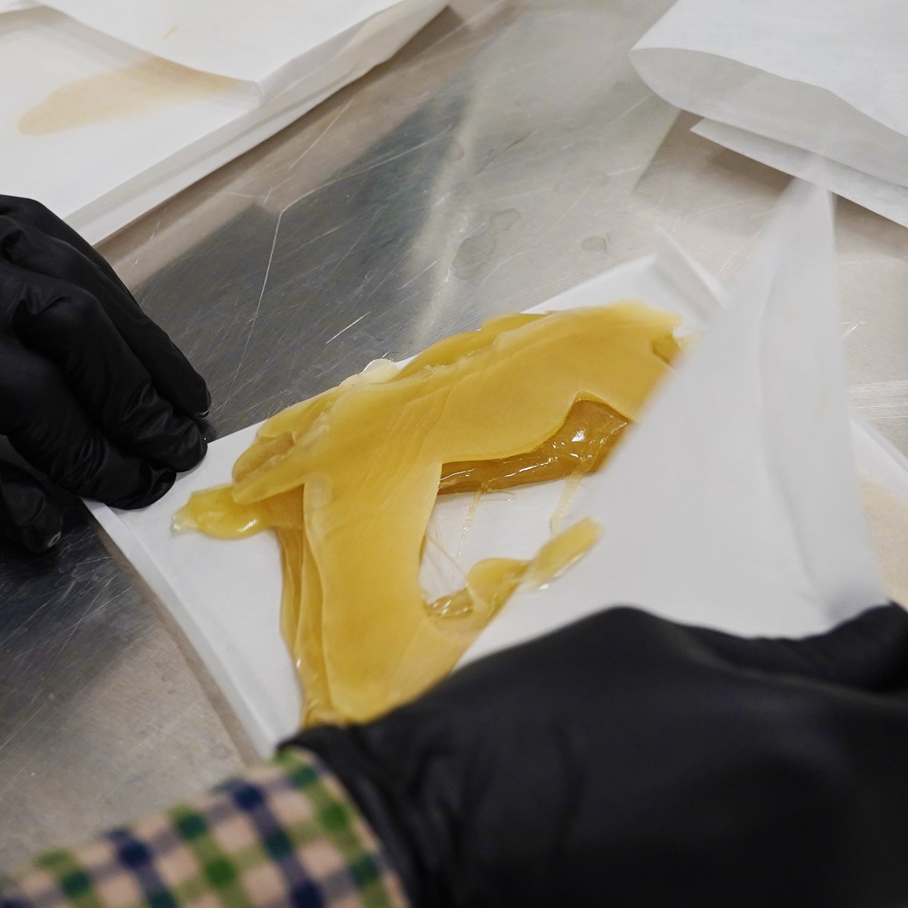 Live Hash Rosin Process Gallery — Breakwater Dispensary