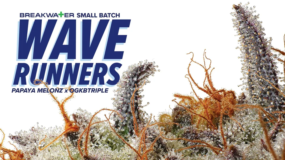 Wave Runners — Breakwater Treatment & Wellness