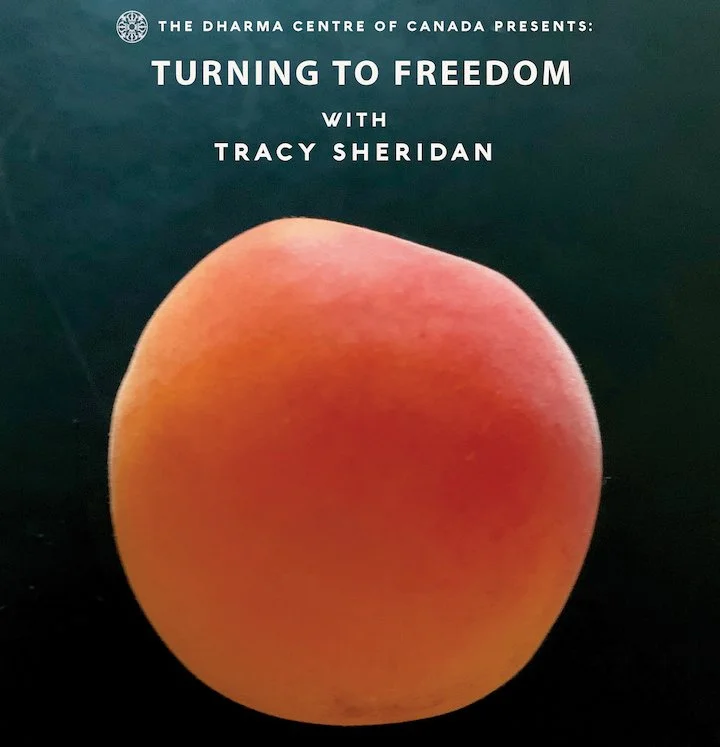 Upcoming Retreats — The Dharma Centre of Canada