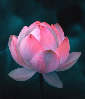 Retreats at a glance — The Dharma Centre of Canada