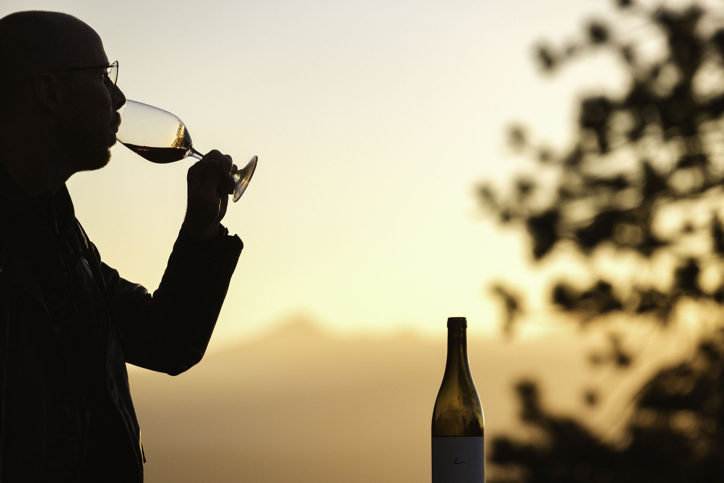 What Sets Natural Wine Apart? — A Matter of Taste