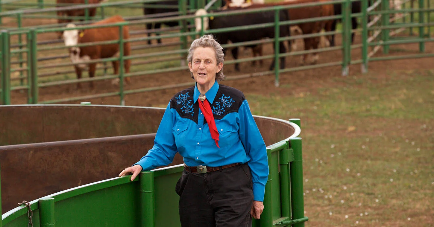 Temple Grandin Inside Squeeze Machine