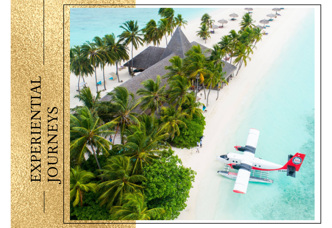 SERVICES — Harnal Travel - Go Beyond the Ordinary