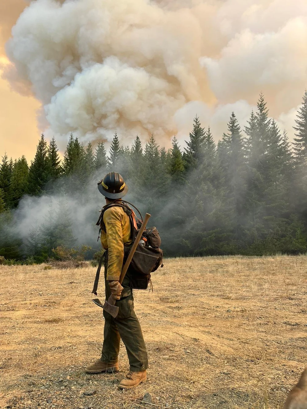 Wildland Firefighting- Wildfire Training Group LLC