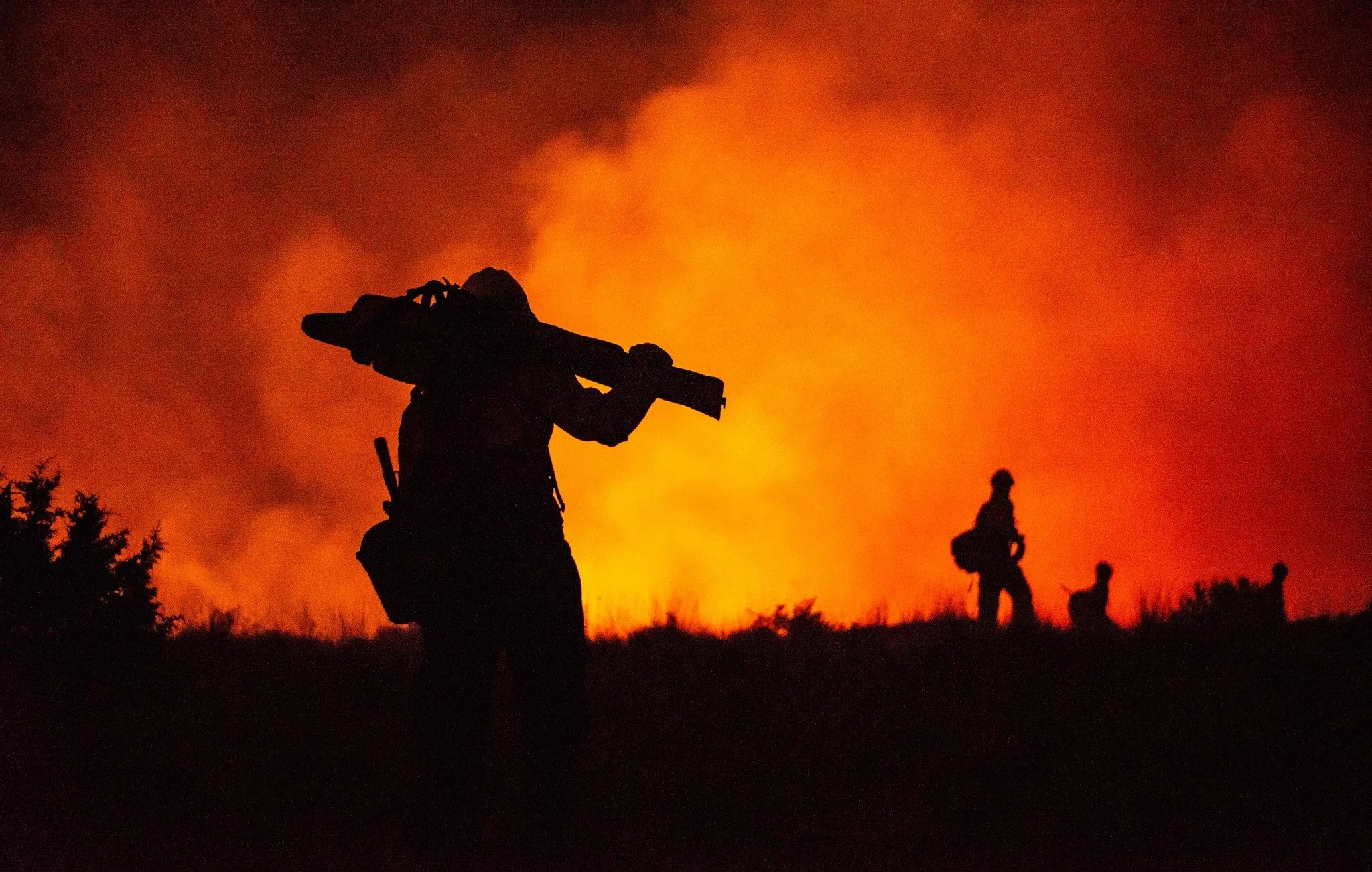 Wildland Firefighter Training- Wildfire Training Group LLC