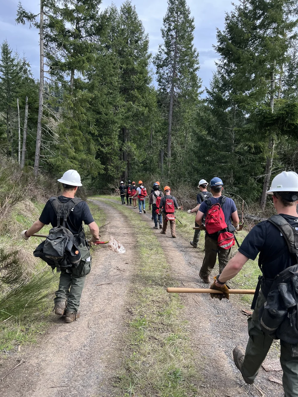 Wildland Firefighting- Wildfire Training Group LLC