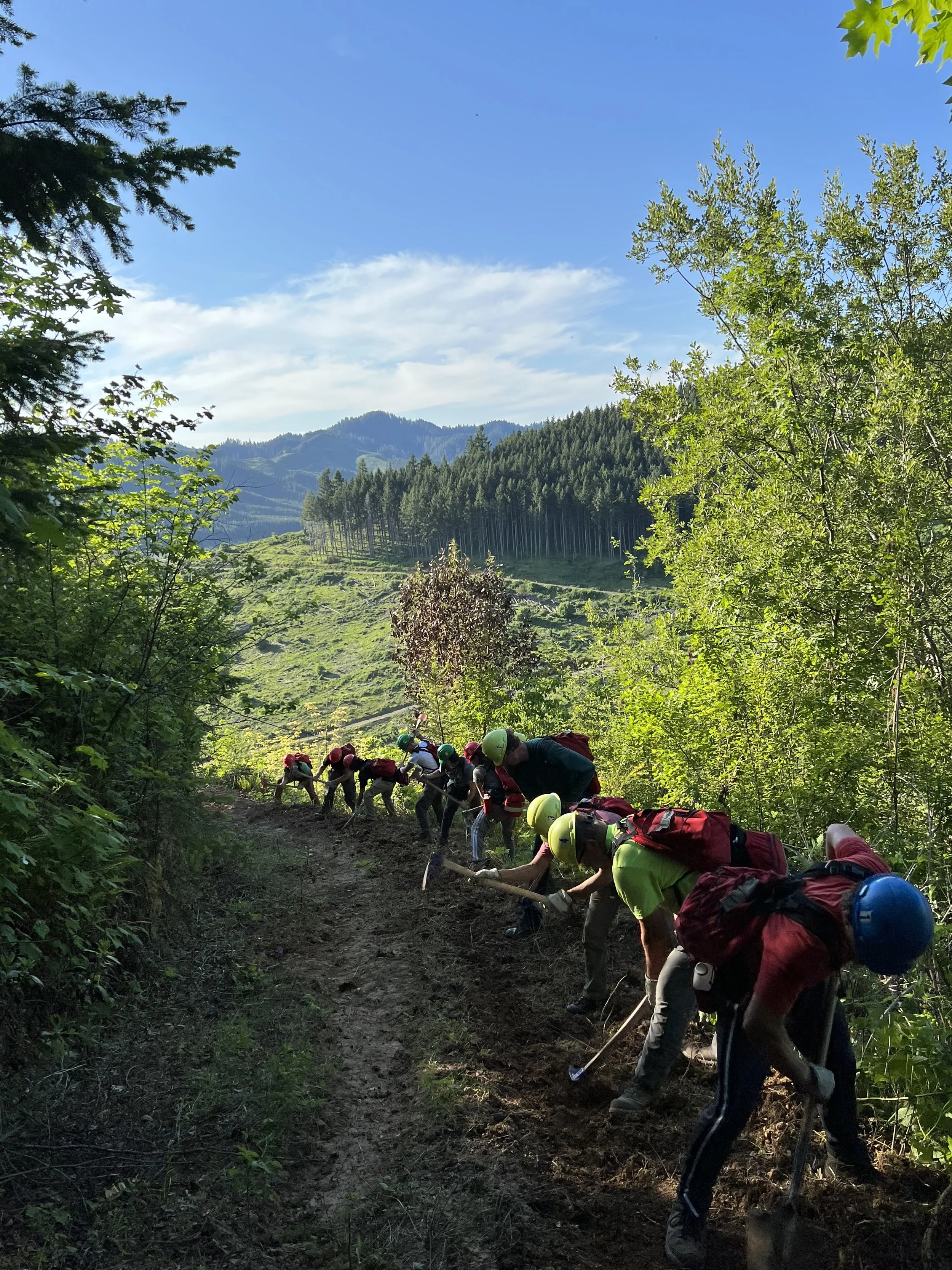 Wildland Firefighting- Wildfire Training Group LLC