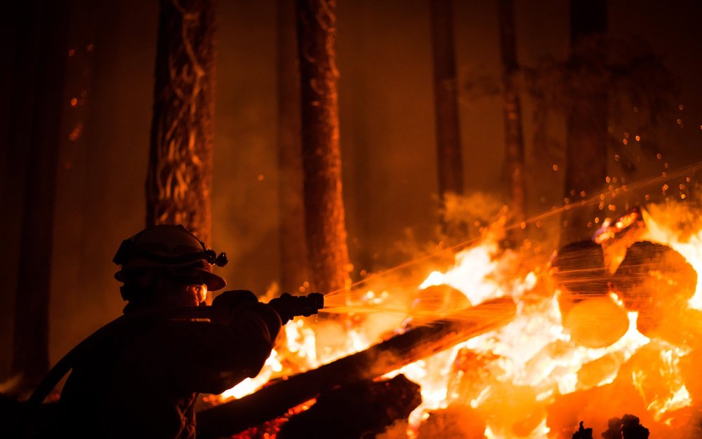 Wildland Firefighting- Wildfire Training Group LLC