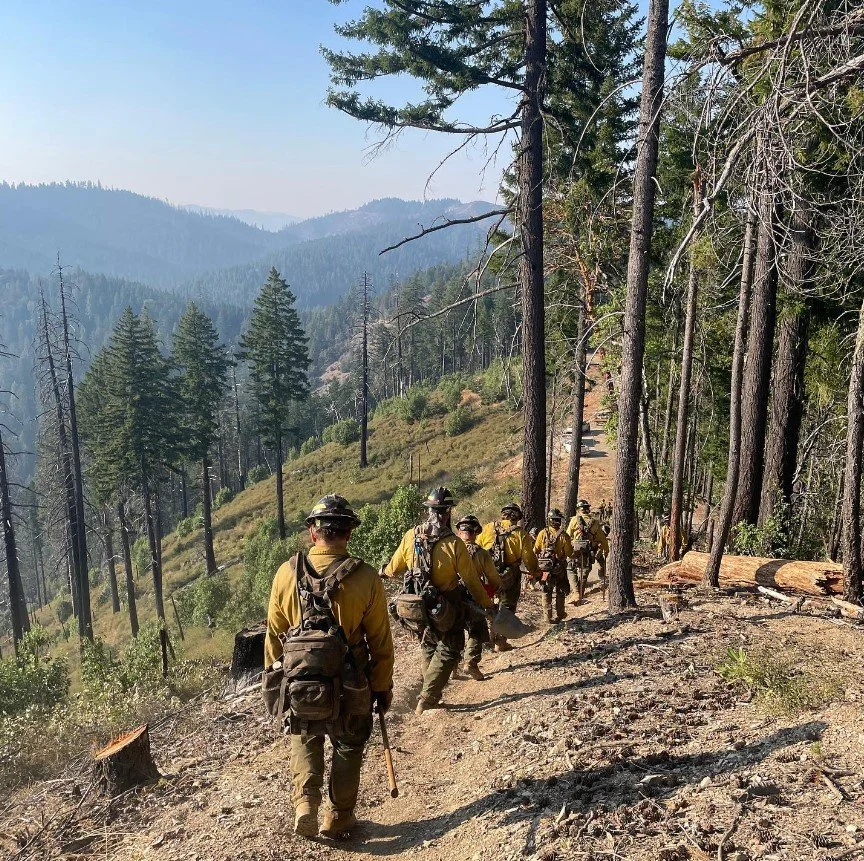 Wildland Firefighting- Wildfire Training Group LLC