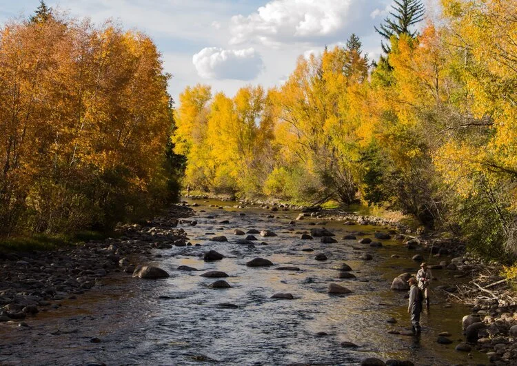 Native Trees and Plants You Will See Everywhere In Spokane — The Lands ...