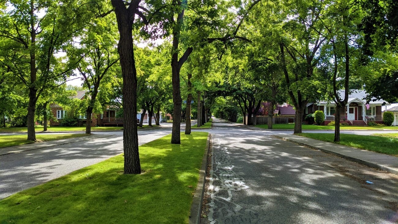 Urban Forestry - SpoCanopy & CoolCanopy — The Lands Council