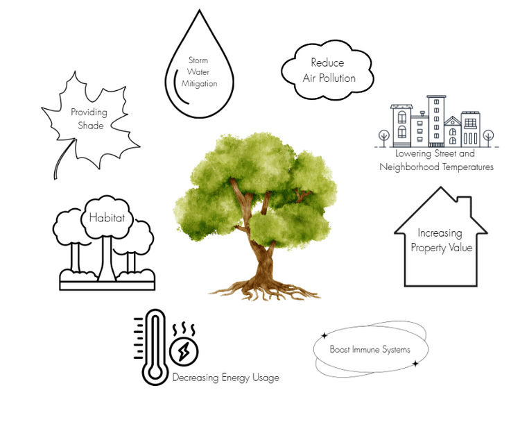 Urban Forestry - SpoCanopy & CoolCanopy — The Lands Council