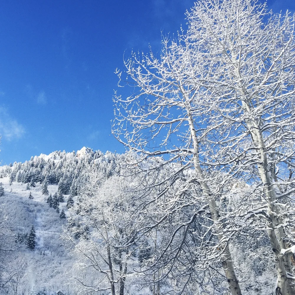 PRESS — STYLE BY SUZANNE