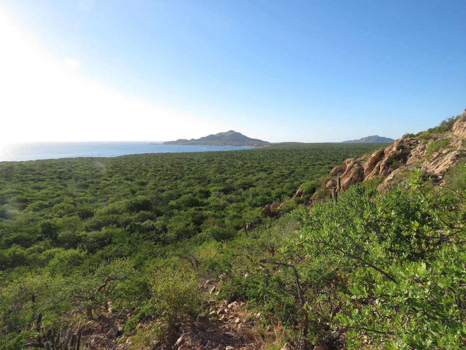 Where We Work — Baja Coastal Institute