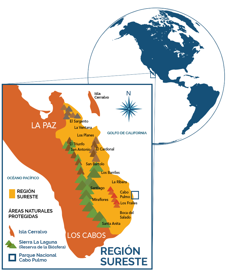 Dónde trabajamos — Baja Coastal Institute