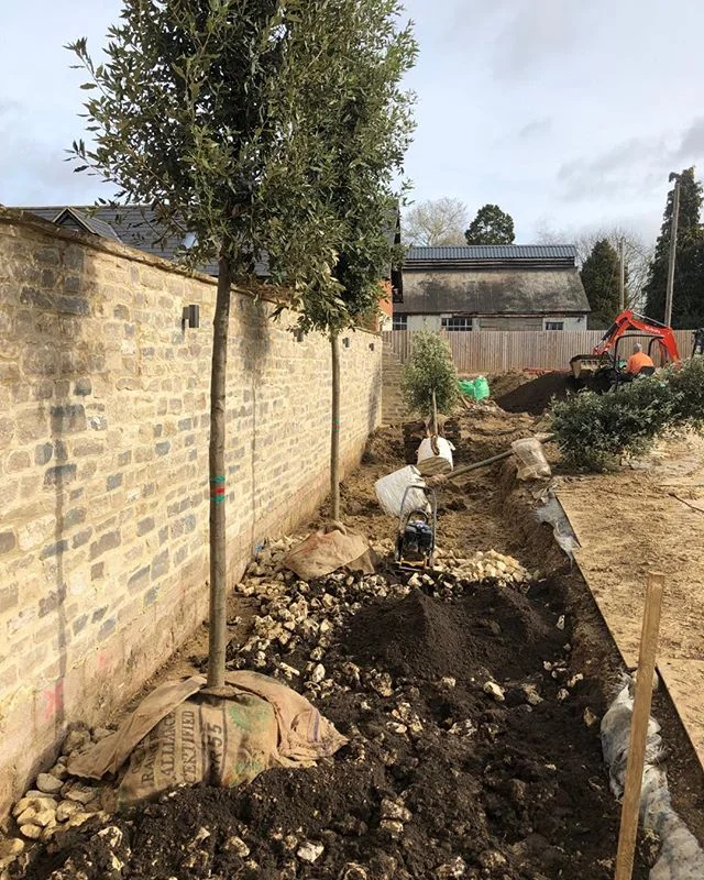 Gallery — Heritage Tree Services