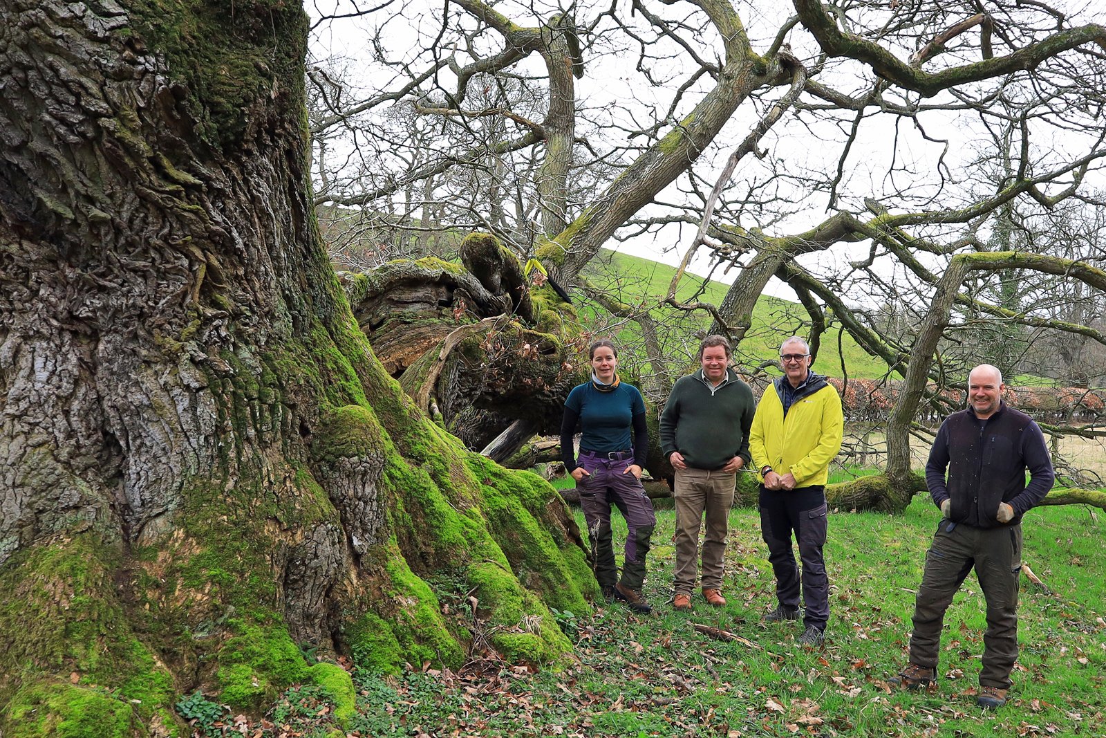 News — Heritage Tree Services Ltd