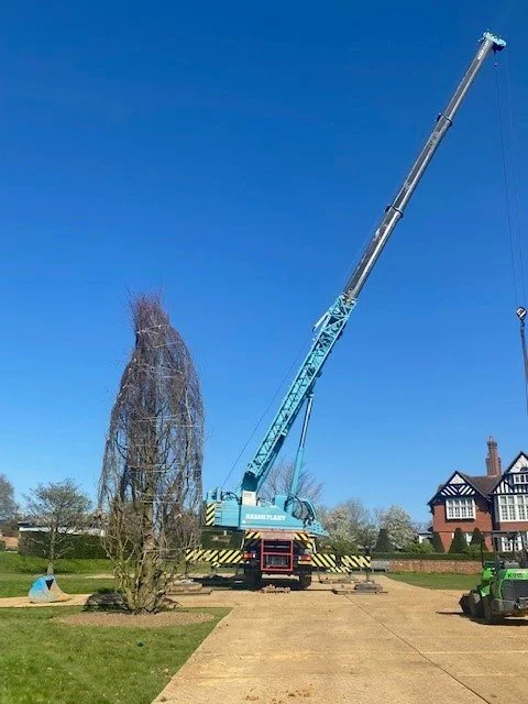 News — Heritage Tree Services Ltd