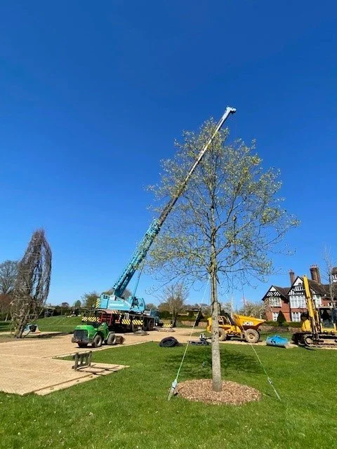 News — Heritage Tree Services Ltd