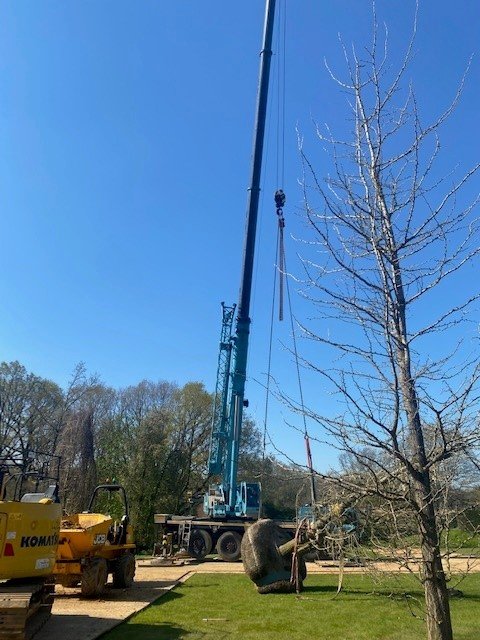 News — Heritage Tree Services Ltd