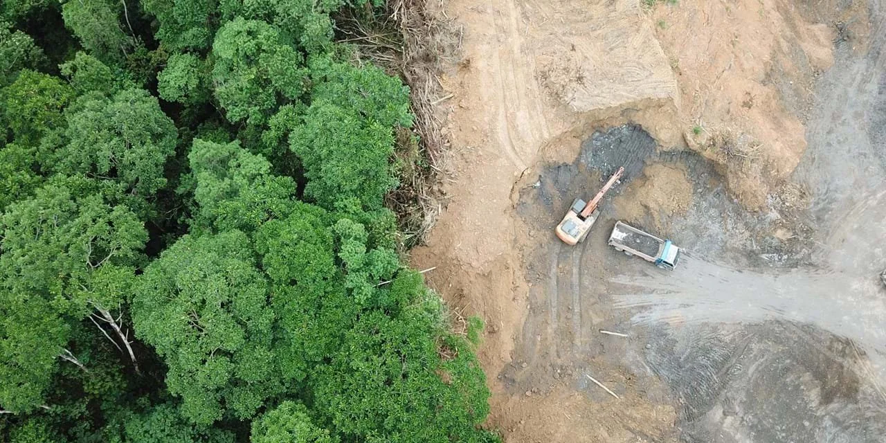 Biodiversity — Heritage Tree Services Ltd