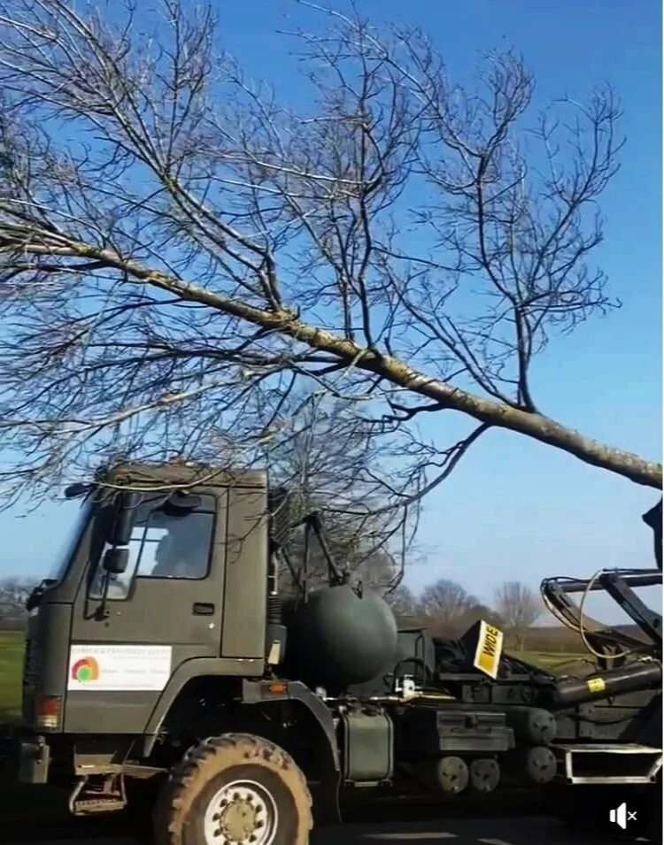 Tree Relocation — Heritage Tree Services Ltd