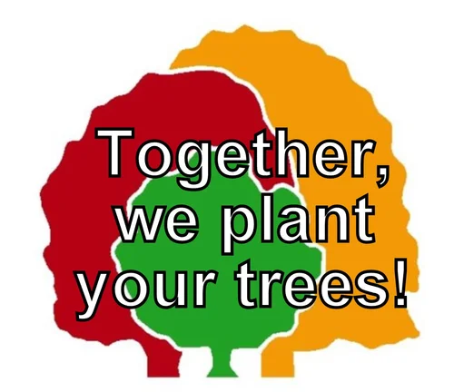 Tree Relocation — Heritage Tree Services Ltd