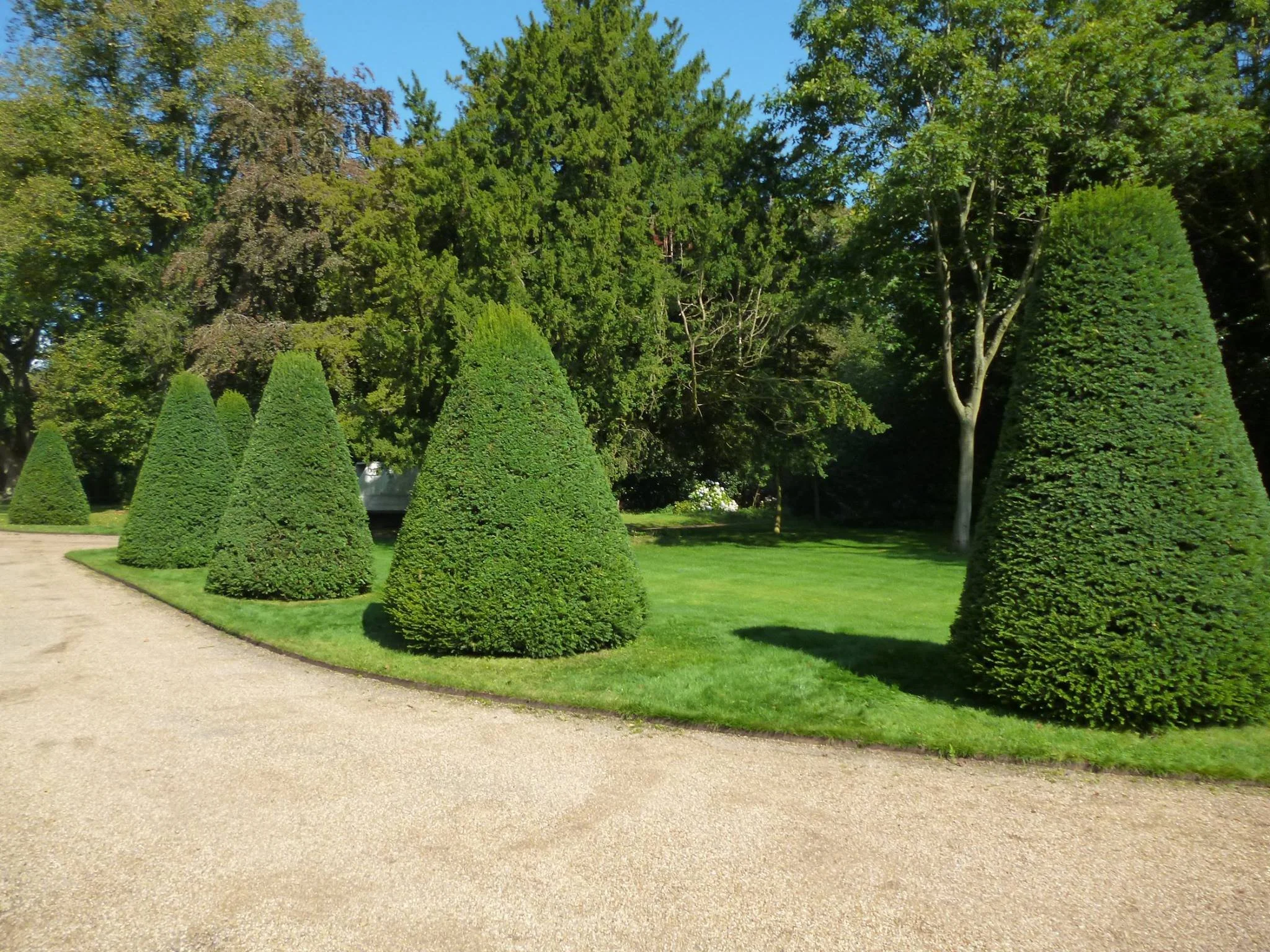 Bespoke Designs & Planting — Heritage Tree Services Ltd