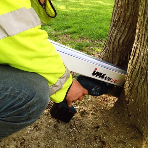 Professional tree health inspections, reports and guidance. — Heritage ...