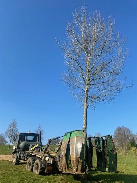 Our fleet of tree spades move trees, safely, efficiently, and ...