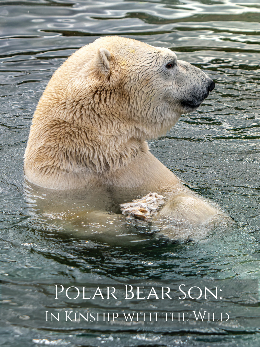 Polar Bear Son: in Kinship with the Wild — Handcrafted Folktale Linocuts