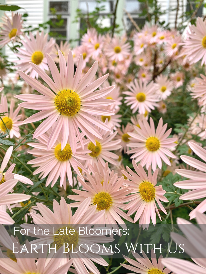 For the Late Bloomers: Earth Blooms with Us — Handcrafted Folktale Linocuts