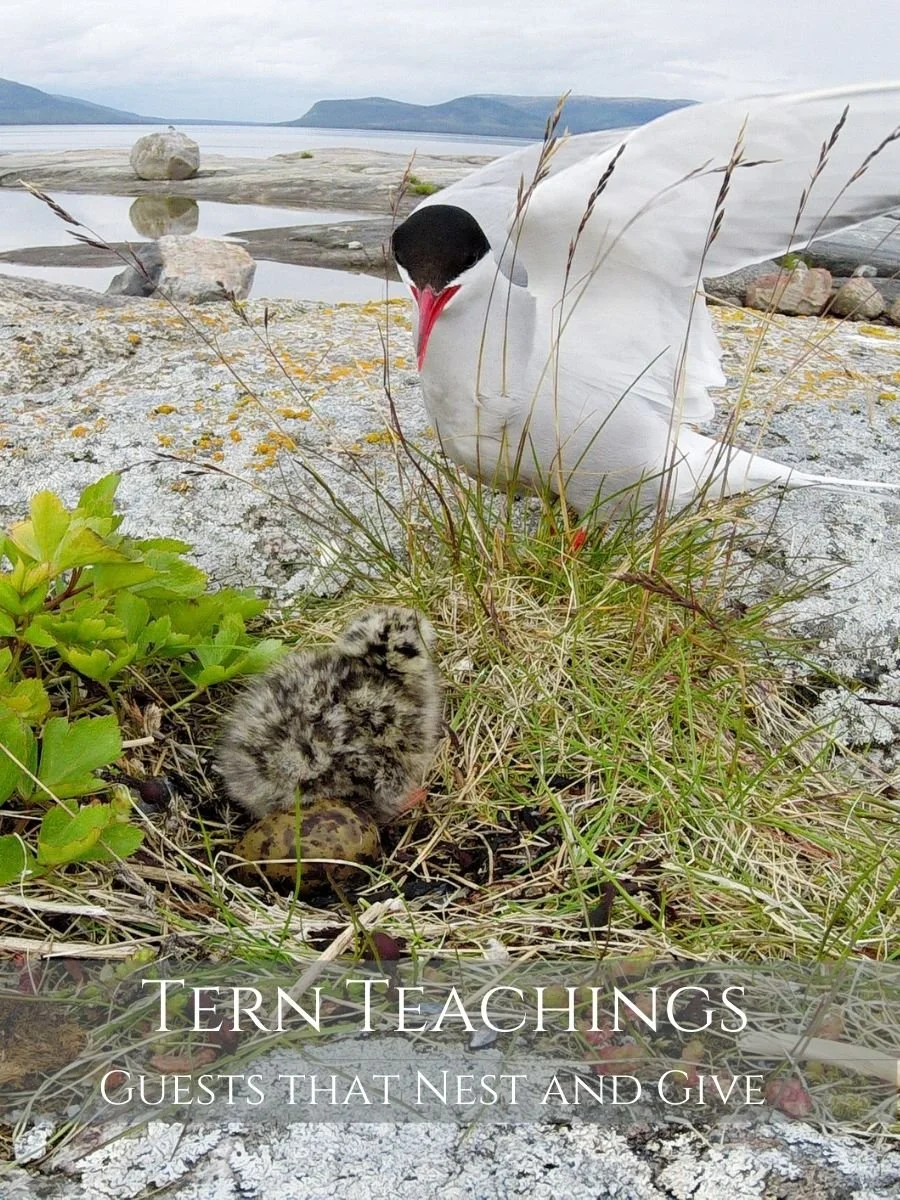 A blog exploring the folktales from around the world through ...