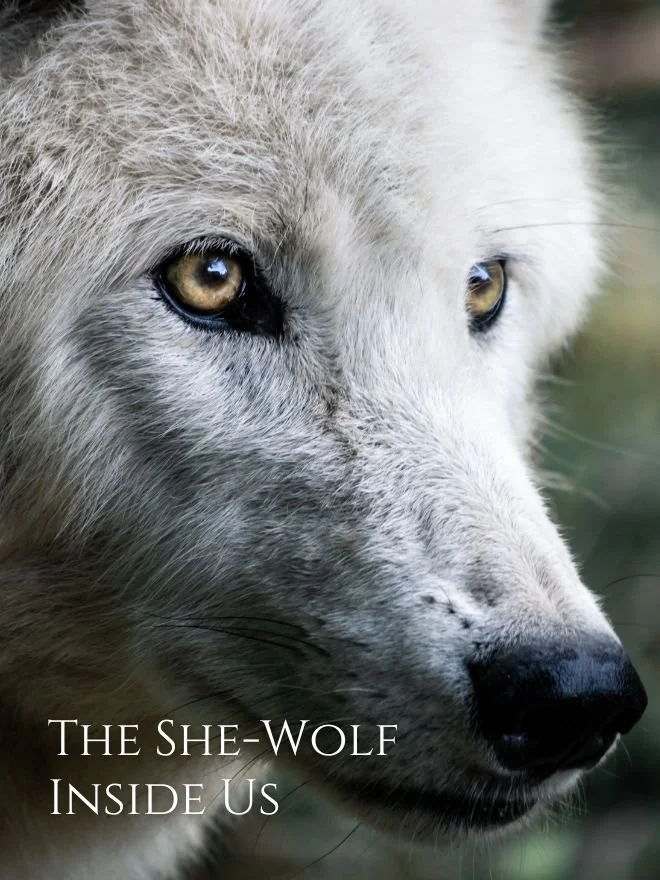 The Divine Wolf Spirit Animal of the Mongolian Grasslands — Handcrafted ...