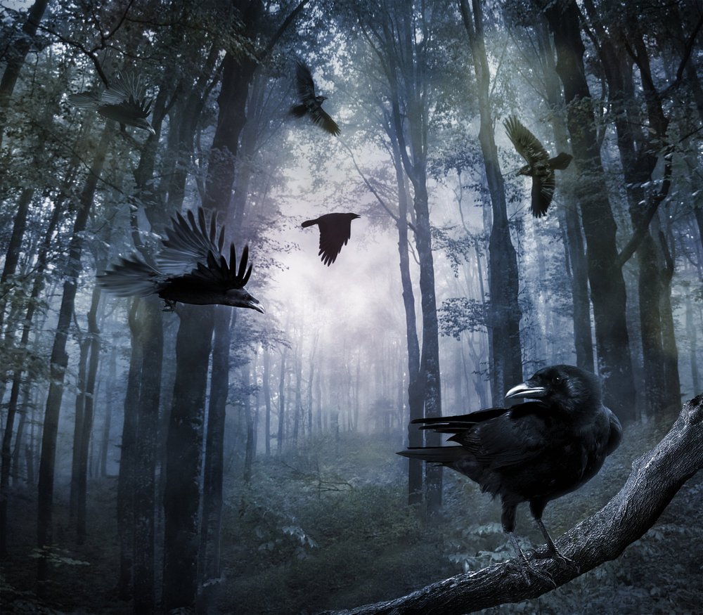 Discovering the sacred and prophetic power of the crow and crone in ...