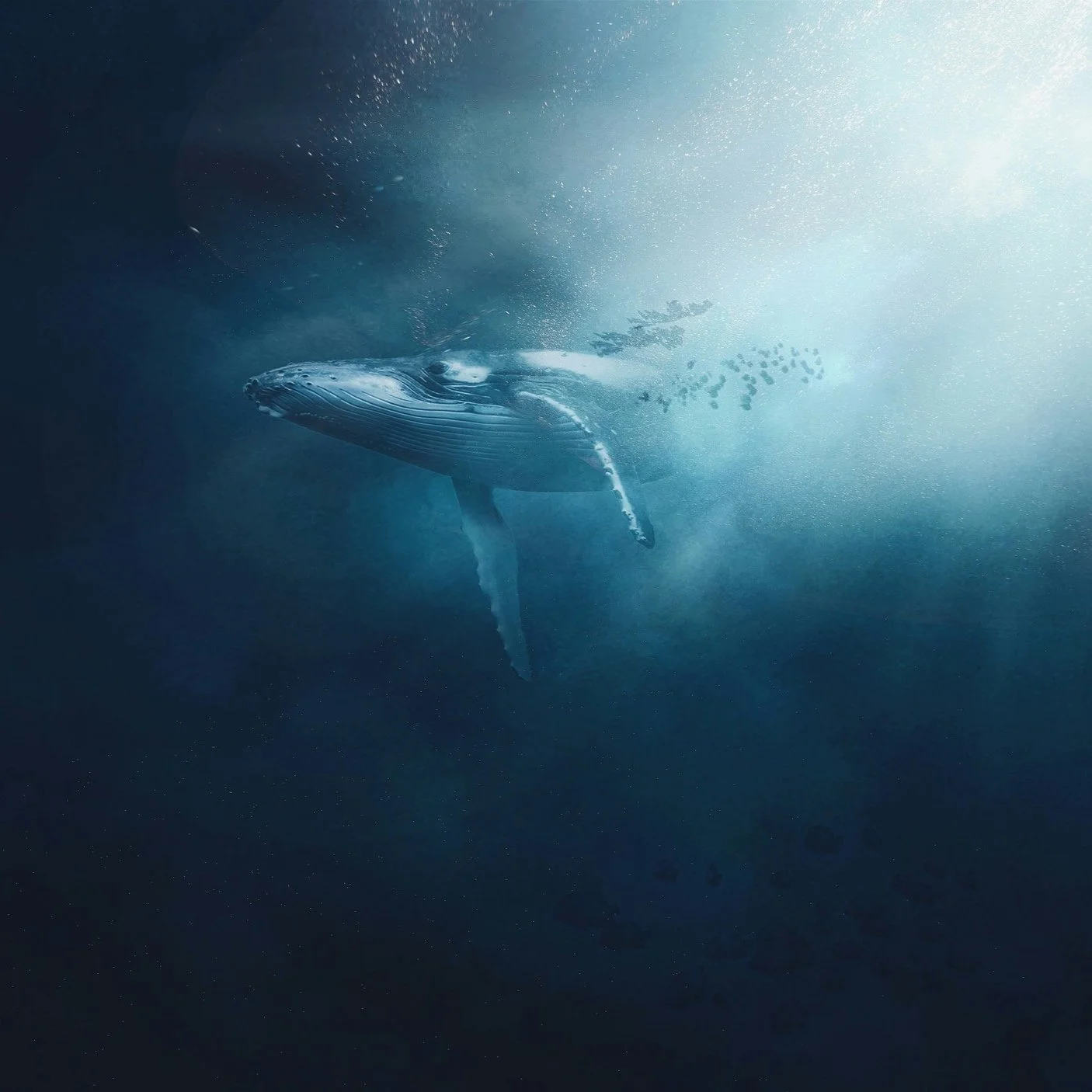 In the Belly of a Whale: Archetypal Monsters and Mothers in Maritime ...