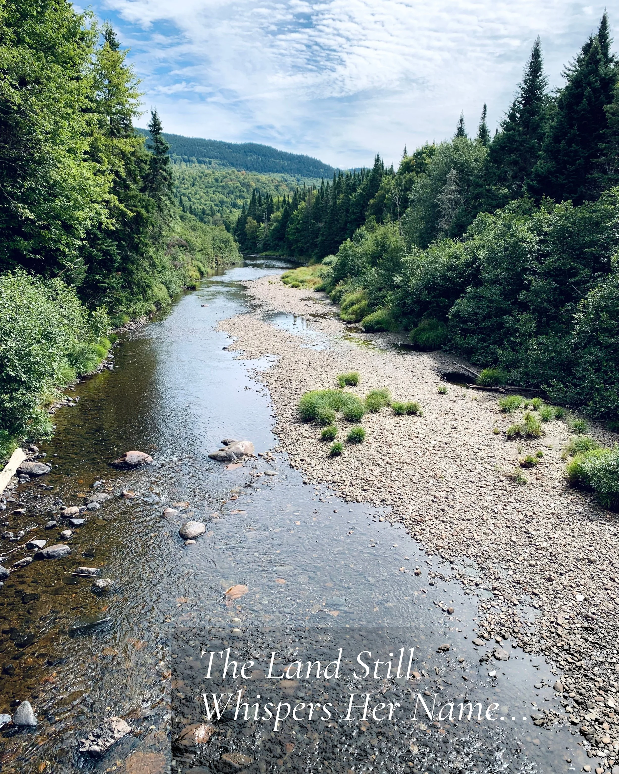 Sky Woman Creation Myth: Indigenous Wisdom, Reciprocity, and Connection ...