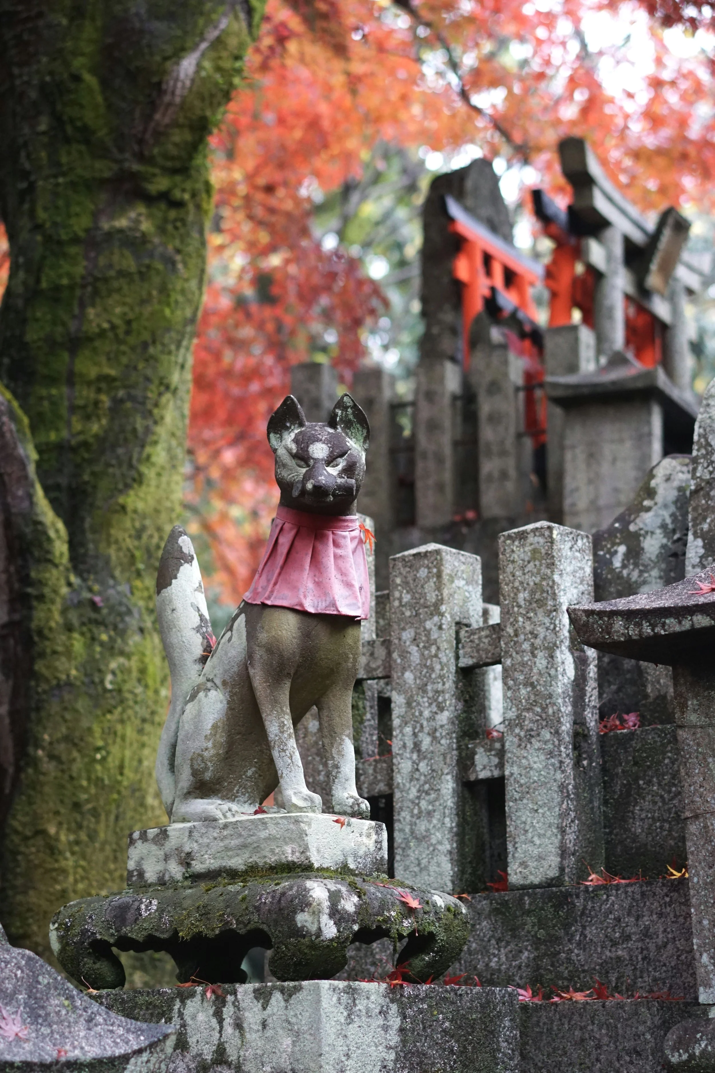 Fox Woman: The Shapeshifting Woman at the Threshold Between Worlds ...