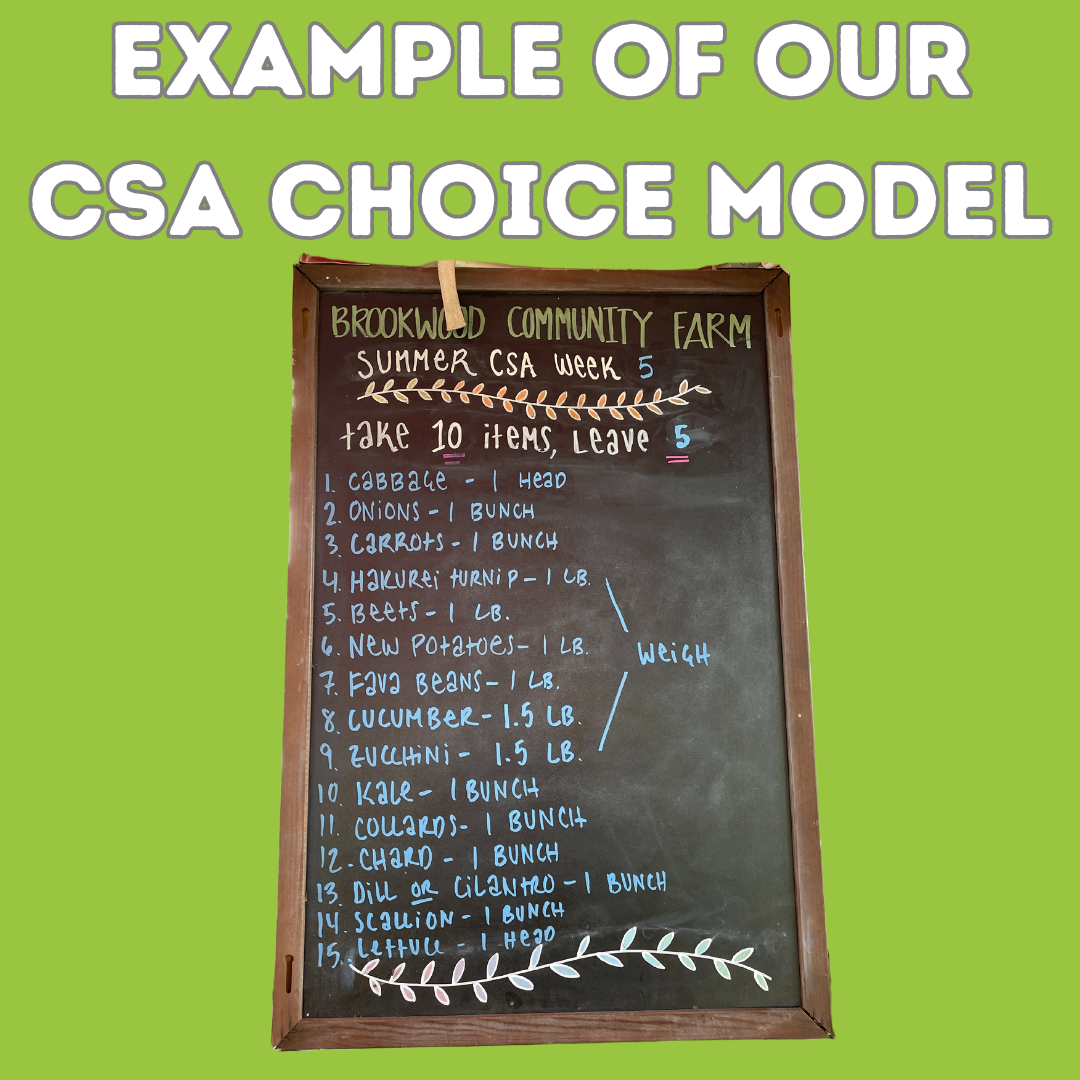 Our CSA 2025 — Brookwood