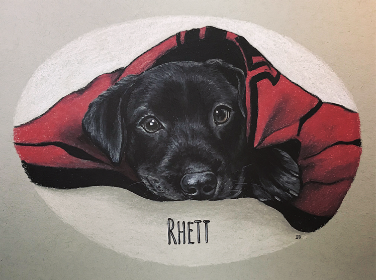 A Custom Portrait of your Pet with Background — Pet Portraits by Reebok