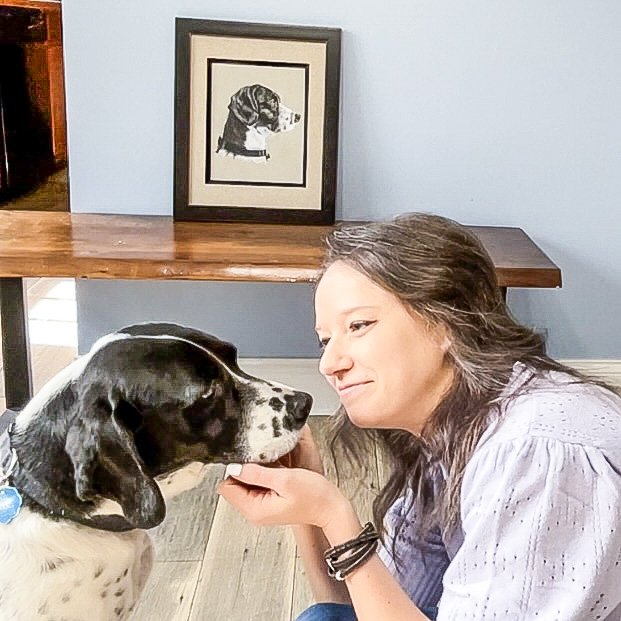 Pet Portraits by Reebok