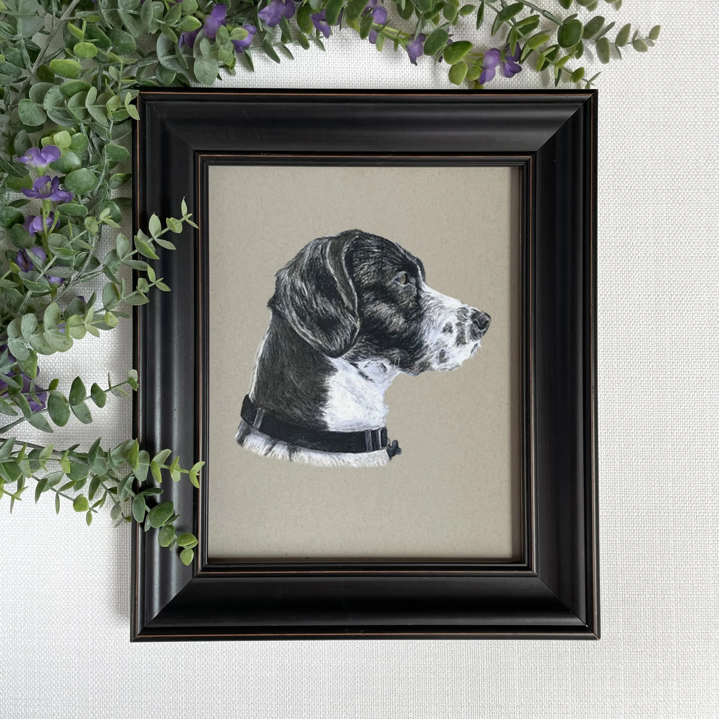 Pet Portraits by Reebok