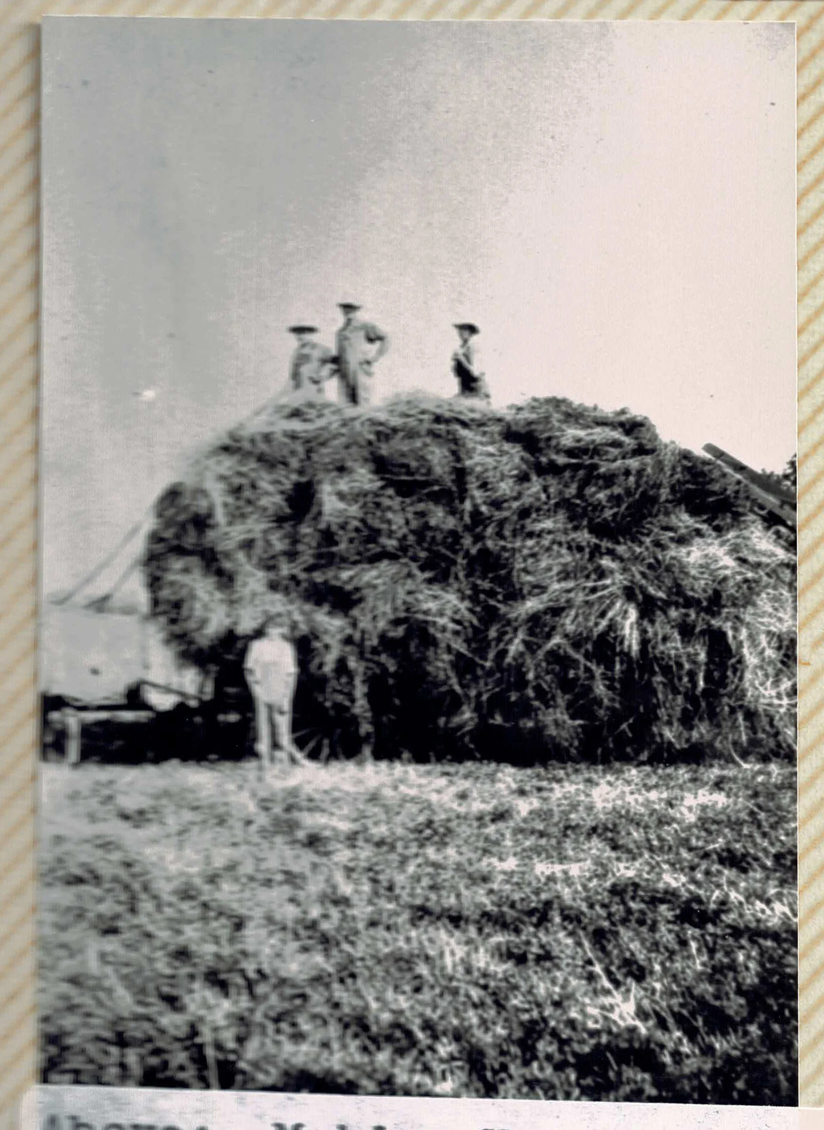 Our Story — Henmick Farm & Brewery