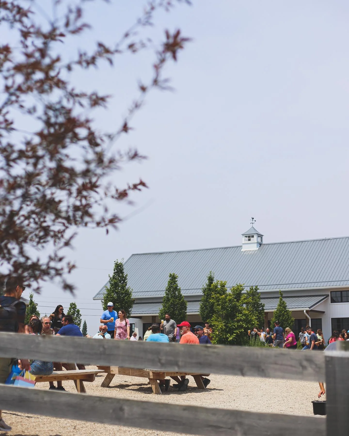 Henmick Farm & Brewery — Henmick Farm & Brewery