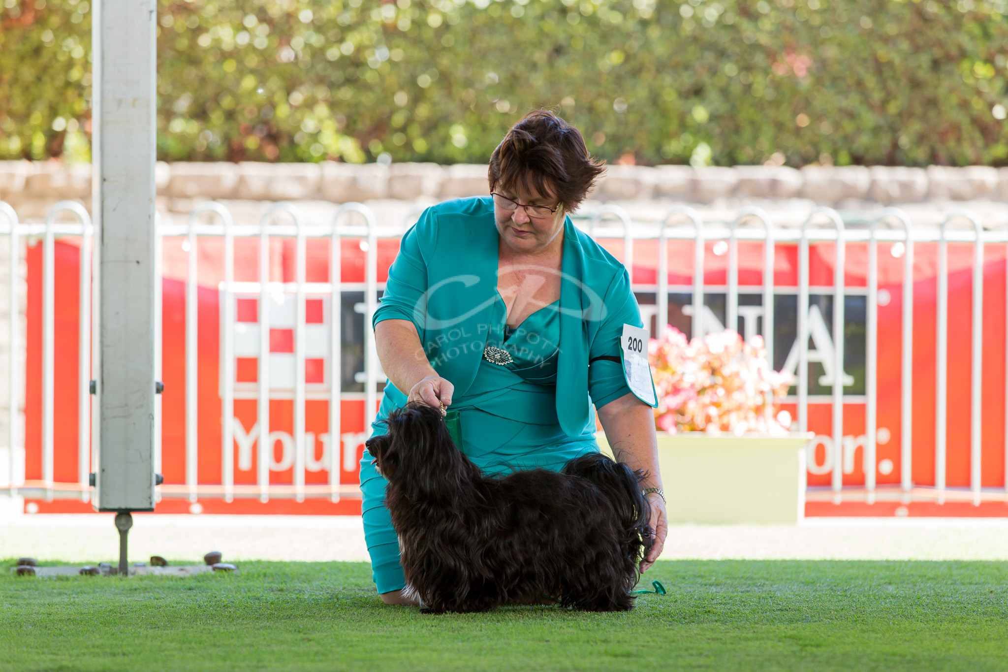 Home — Beljala Kennels