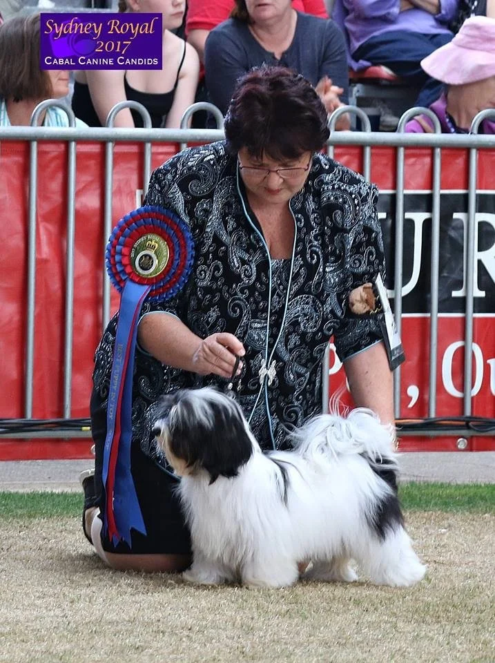 Home — Beljala Kennels