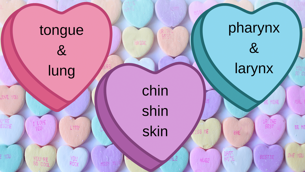 Rhyming Body Parts — Kathie Stamps