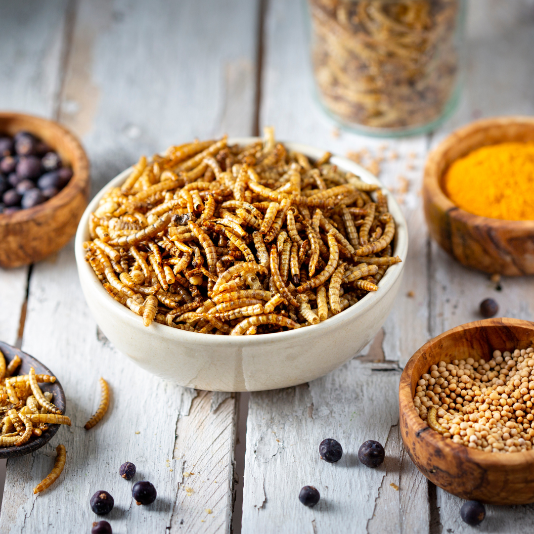 The Buzz Around Edible Insects — Food & Nutrition Australia
