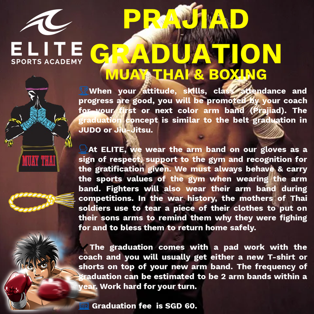 Muay Thai & Kickboxing — ELITE